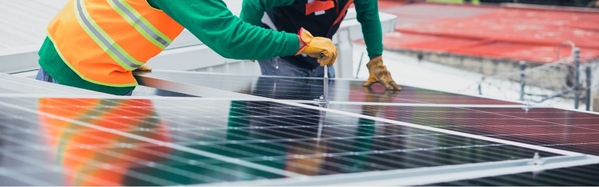 Our Work | Solar Stewardship Initiative