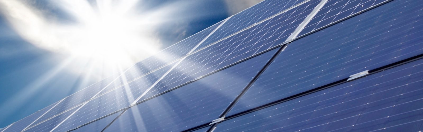 Contact Us | Solar Stewardship Initiative