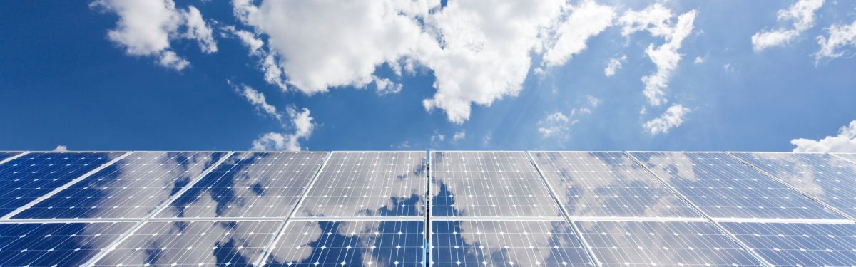 Join Us | Solar Stewardship Initiative