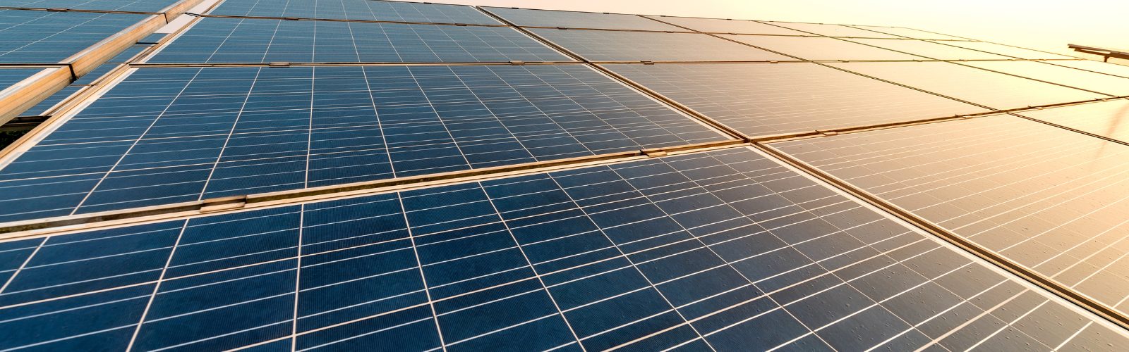 Supply Chain Traceability Standard | Solar Stewardship Initiative