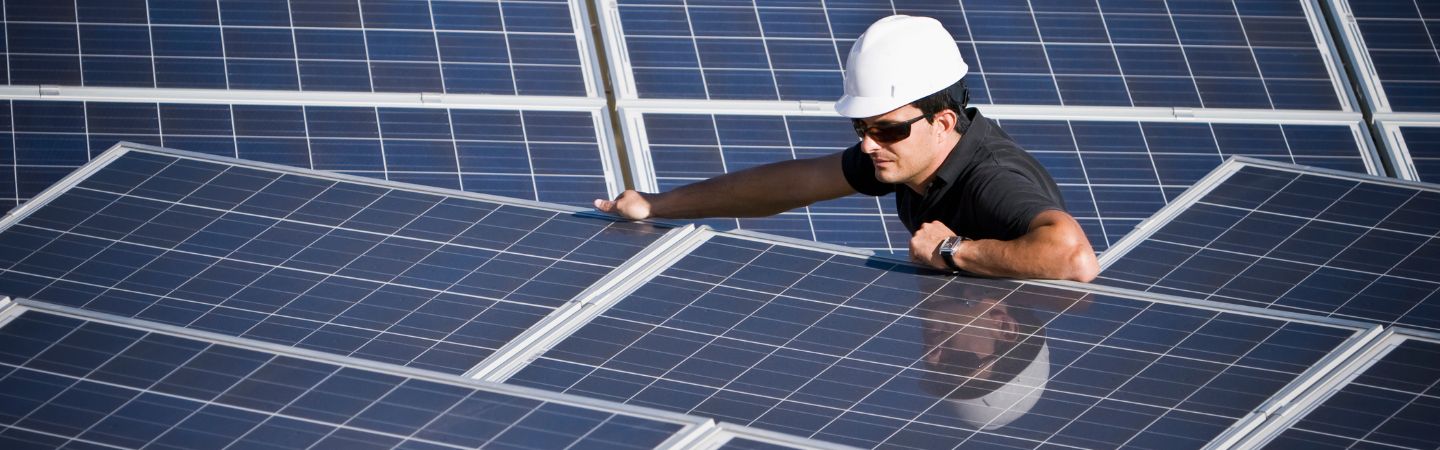 Members | Solar Stewardship Initiative