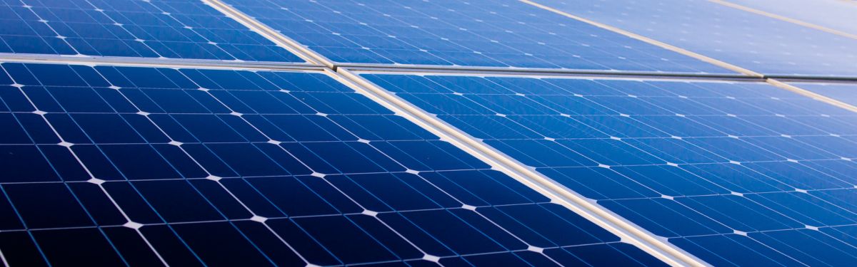 Careers | Solar Stewardship Initiative