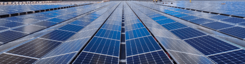 Get involved | Solar Stewardship Initiative