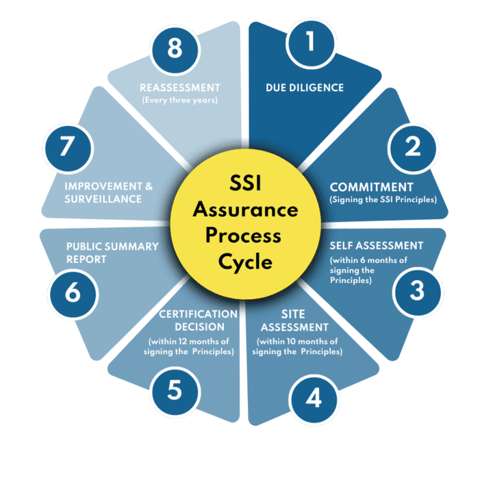 Assurance Process | Solar Stewardship Initiative